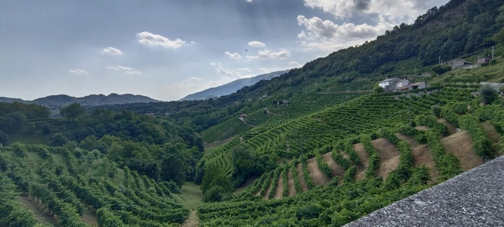 The prosecco hills - Discover Vittorio Veneto